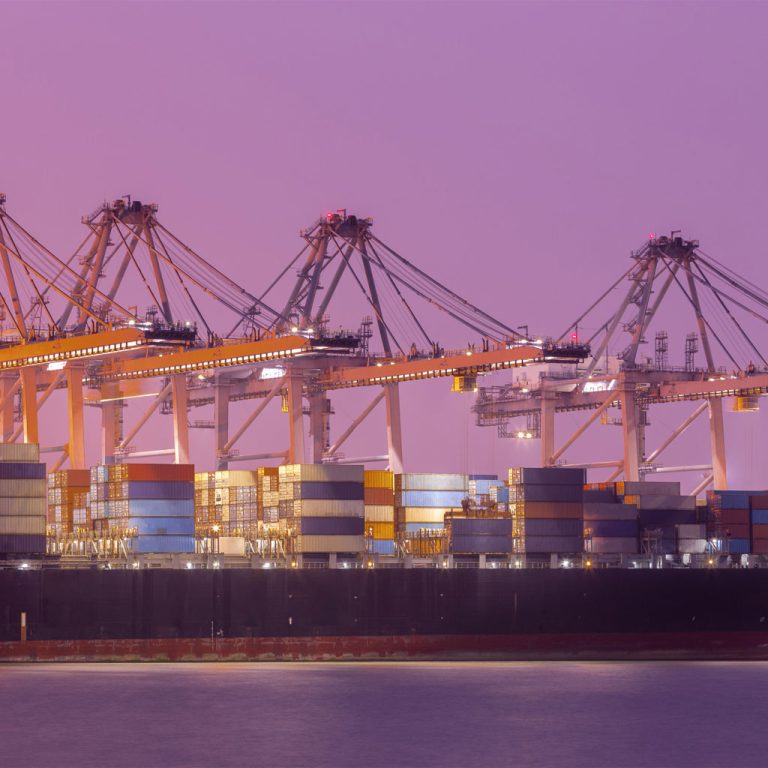 Types of Cargo Ships and Their Applications in Global Trade